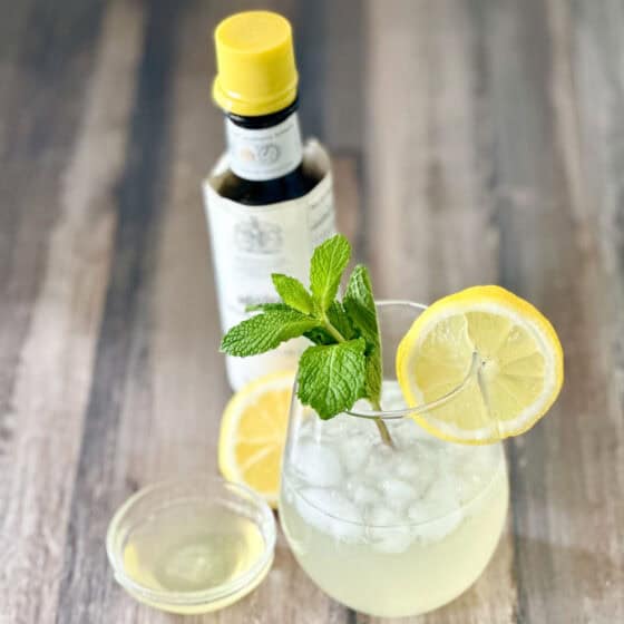 Sparkling Lemon Mint Mocktail - Mother Would Know